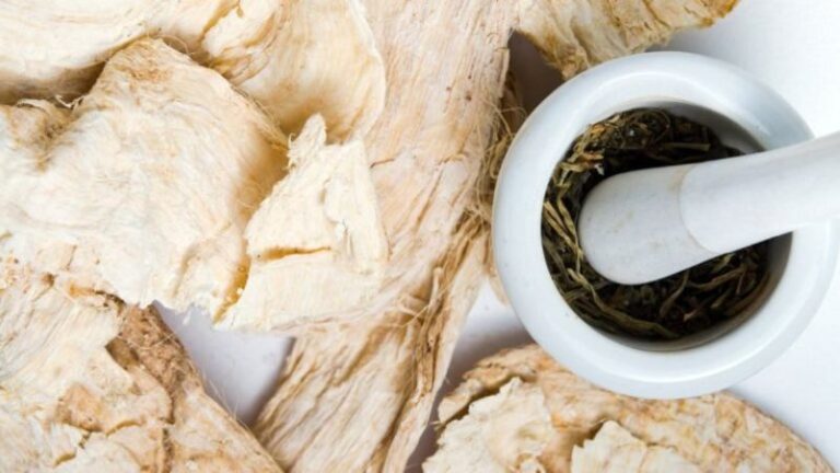 5 Công Dụng Của Sâm Tố Nữ Khô Theo Kinh Nghiệm Dân Gian - CỬA HÀNG THẢO ...